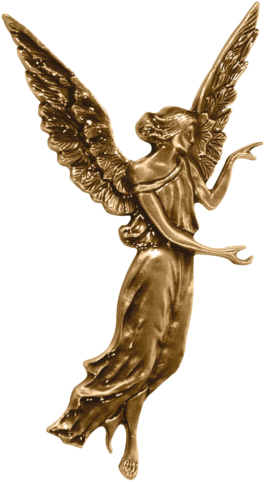 Angeli